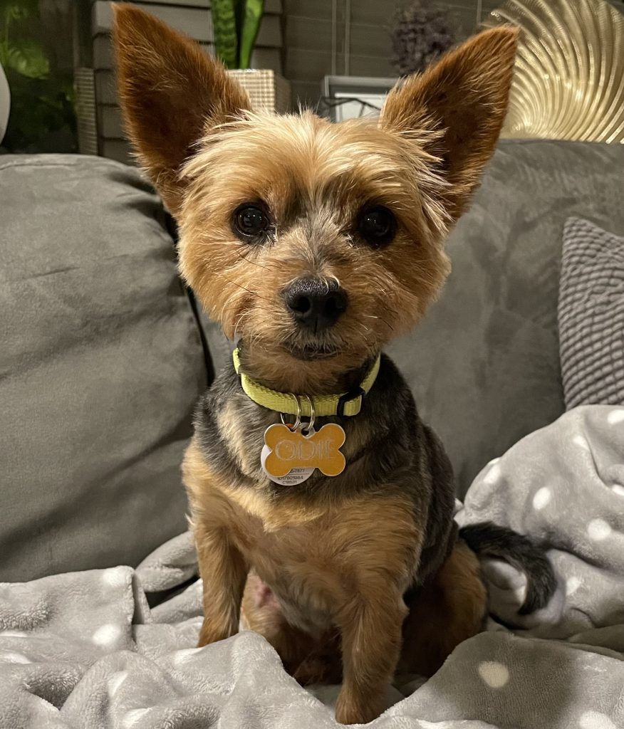 Tina Tran | Root Bissonnette Walker LLP